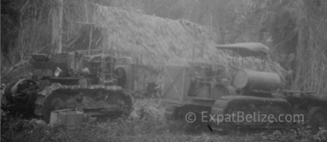Old Belize Gallery - Expats In Belize